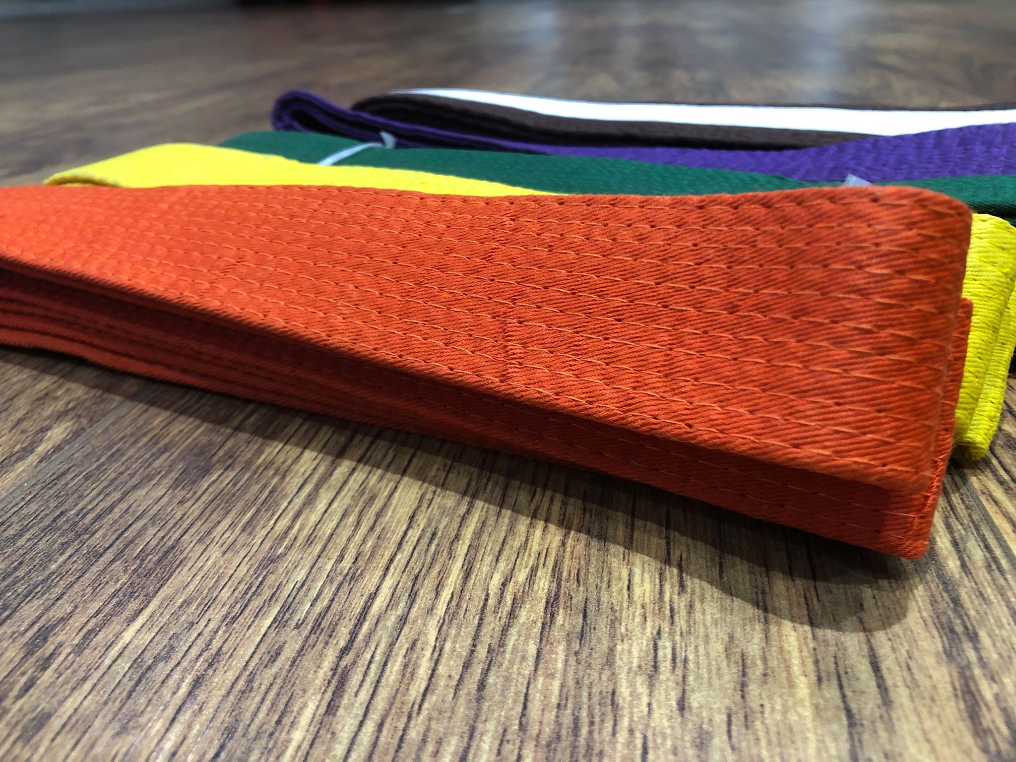 8th Kyu Orange Belt - MyOnlineKarate