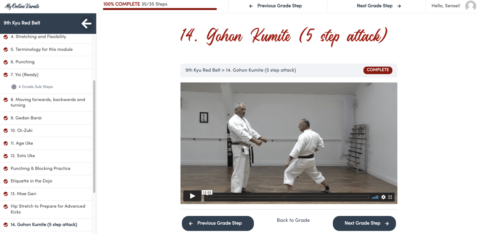 Learn Karate Online | Train Anytime with Expert Instructors